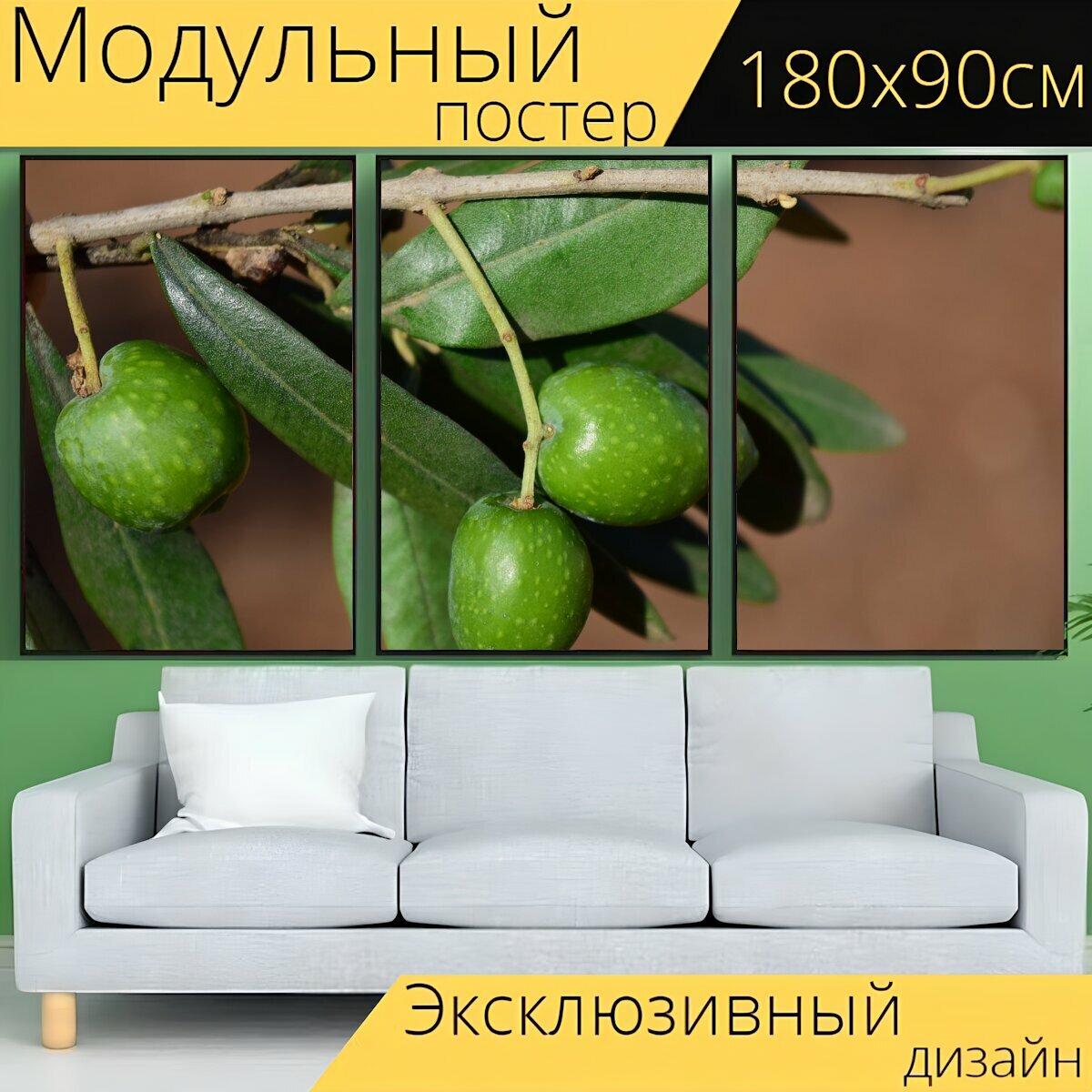 Модульный постер "Ветка оливы, оливки, оливковое дерево" 180 x 90 см. для интерьера на стену в тубусе