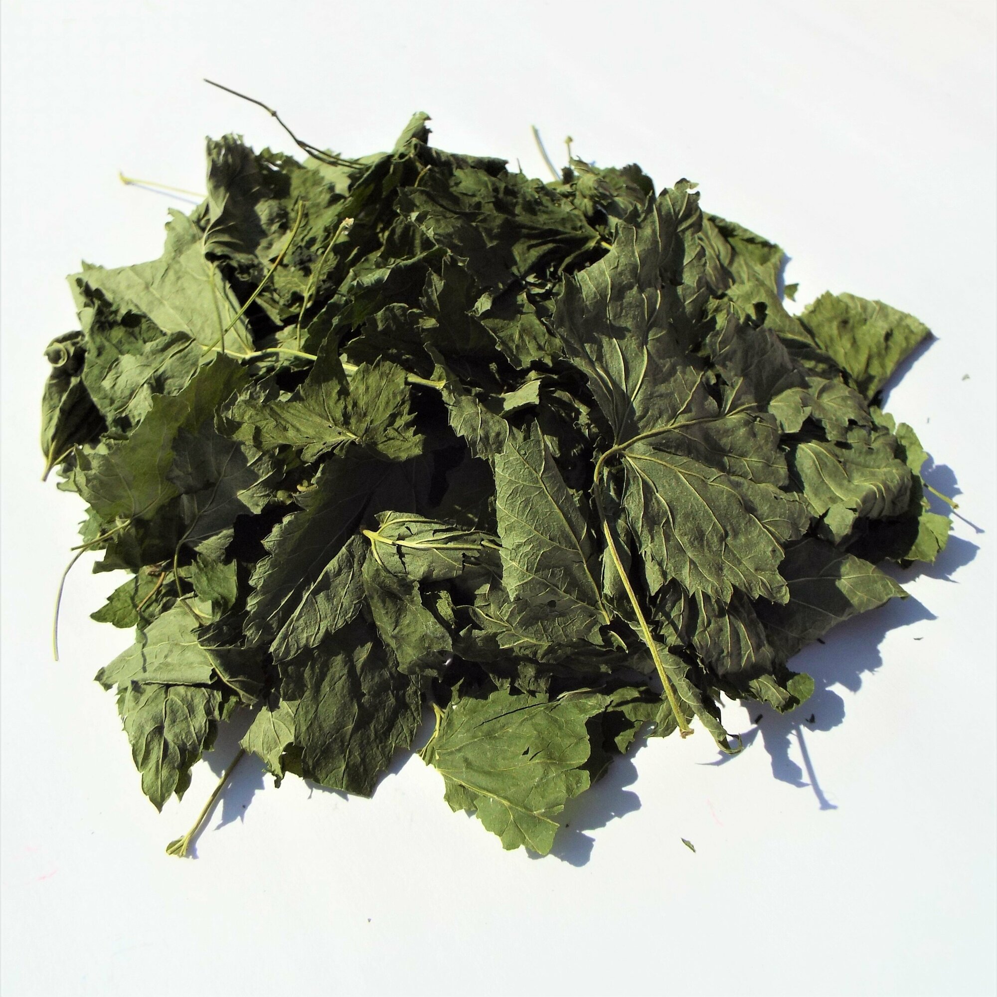 Лист черной лесной душистой смородины 50 гр. Енисей чай. Собрано в Сибири в предгорье Саян. Экологически чистый продукт без добавок.