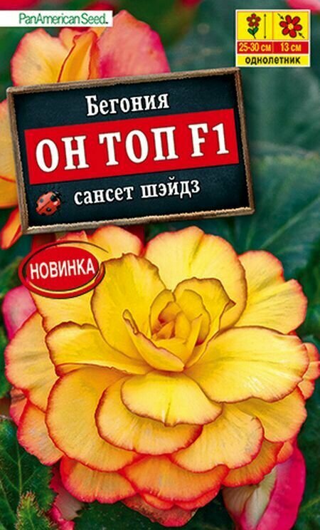 Бегония Он Топ F1 сансет шэйдз