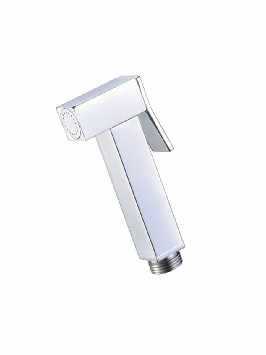 Лейка для биде Ganzer GZ-2040, латунь, хром, глянцевая, 1 режим