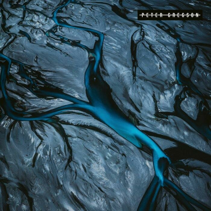 PETER GREGSON Patina (LP)