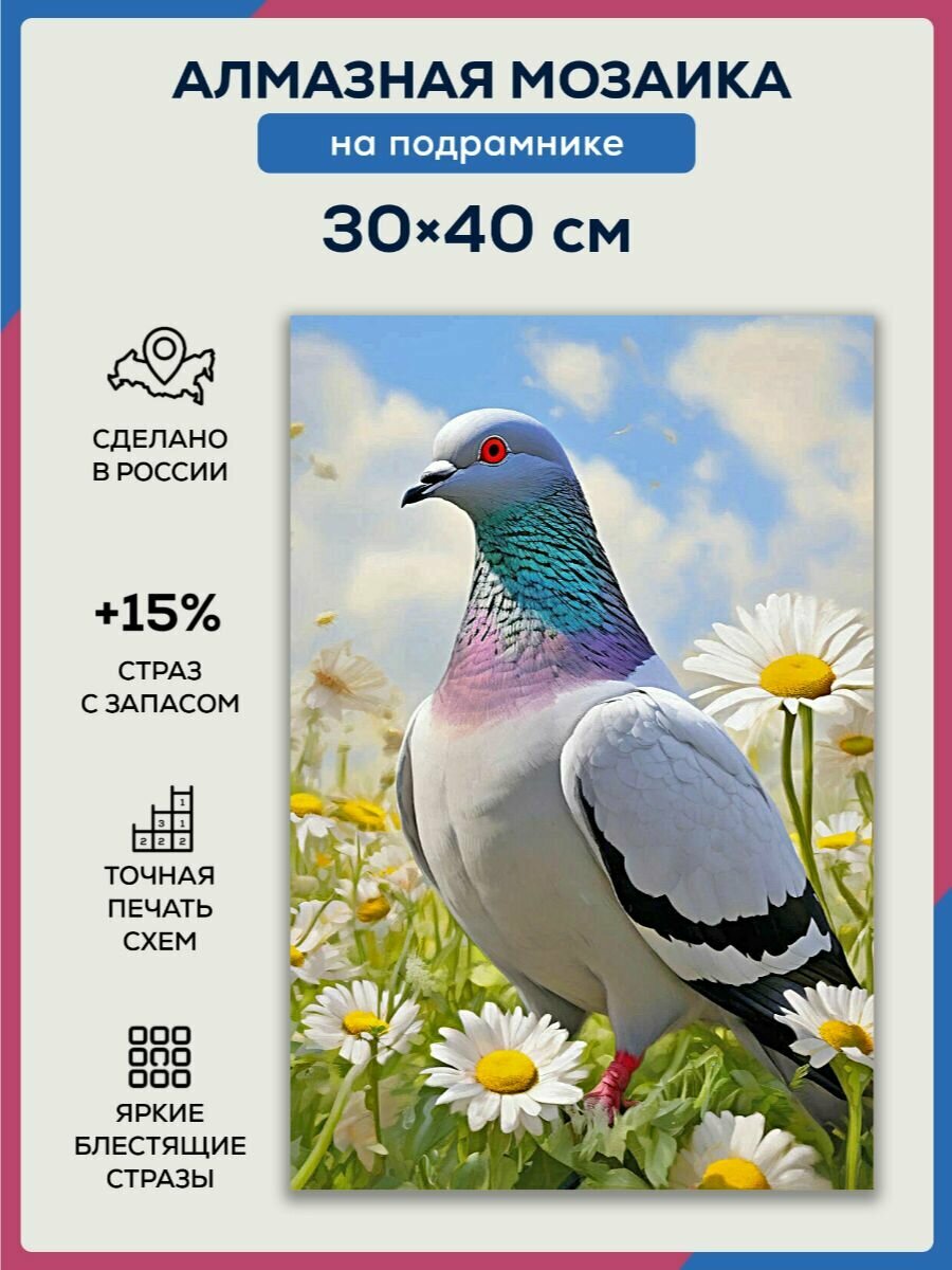 Алмазная мозаика 30x40 Голубь и ромашки на подрамнике
