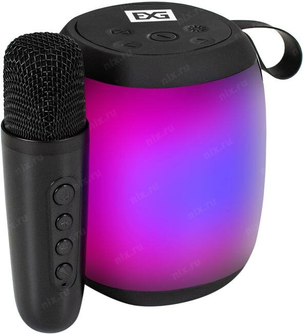 Колонка ExeGate Bro 310 (10W, Bluetooth, microSD, FM, микрофон, Li-Ion)