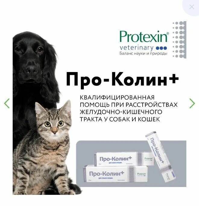 Про-Колин+ 60 мл, пробиотическая добавка — фото 1