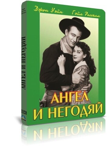 Ангел и негодяй DVD