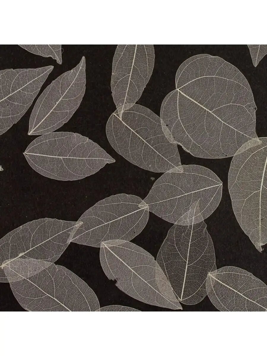 Натуральные обои Cosca "Прима Ноче", бумага, 5 рулонов, 0.91x5.5м