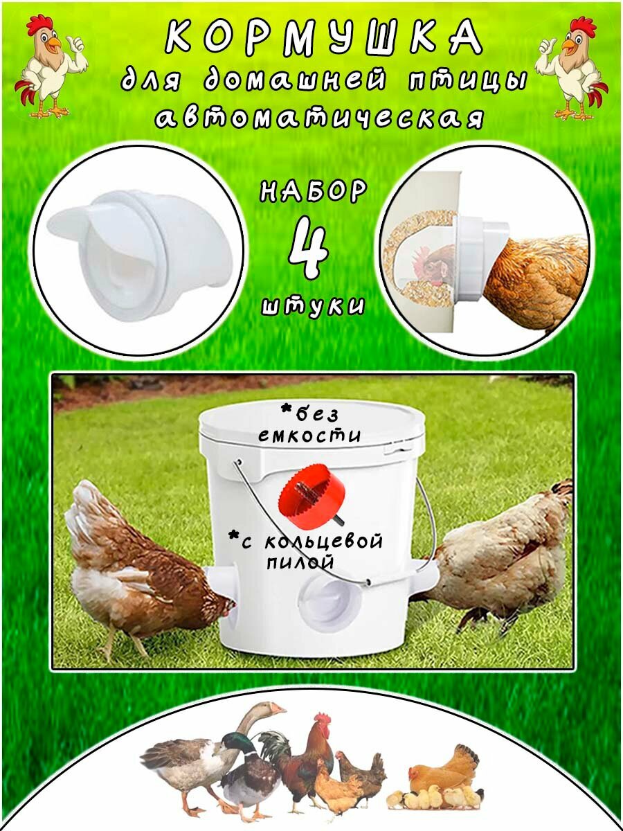 Кормушка с автоматической подачей корма для домашней птицы 4 штуки в наборе, с кольцевой пилой, белый