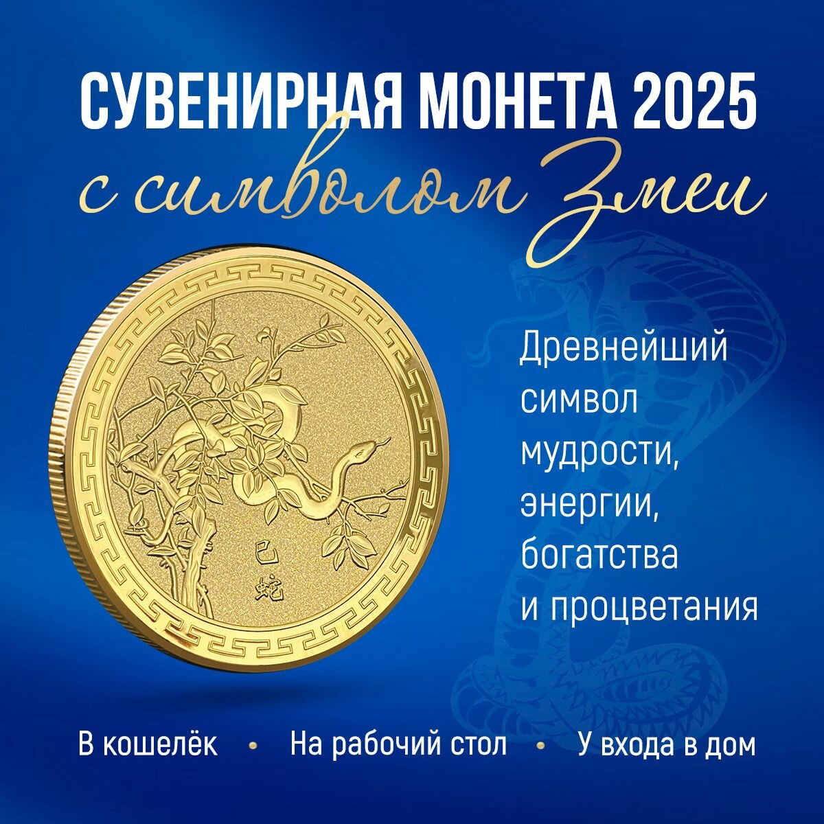 Сувенирная монета со змеей и иероглифами - китайский талисман 2025 года