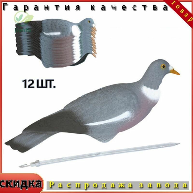 Муляж / Чучело голубя вяхиря, скорлупка Sport Plast - 12 штук