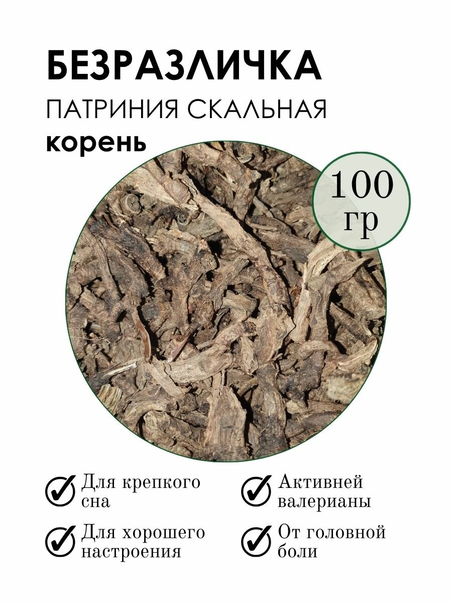 Безразличка (патриния скальная) корень с Алтая - успокаивающее средство, цельный 100г
