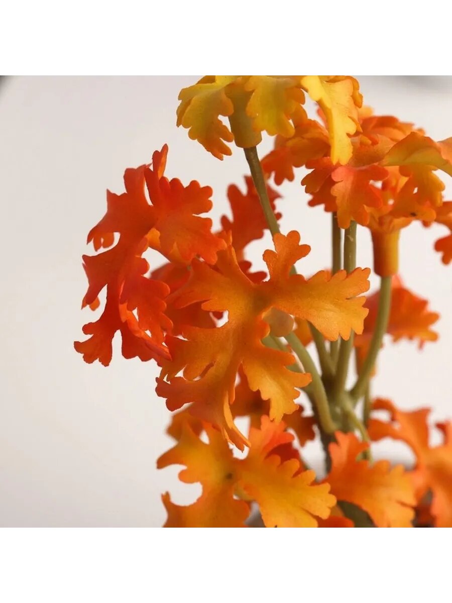 Миниатюрный бонсай с мягкими листьями