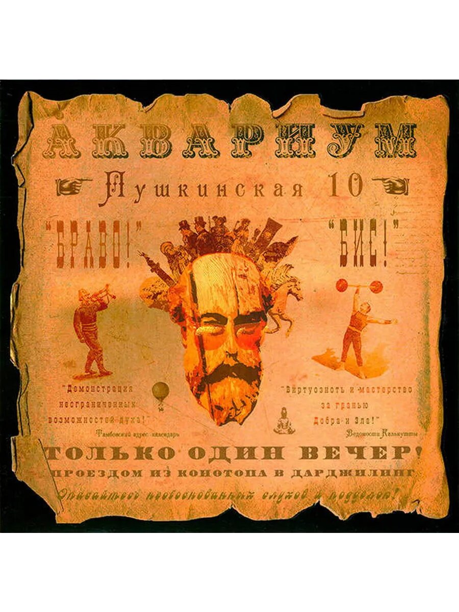 Аквариум - Пушкинская 10
