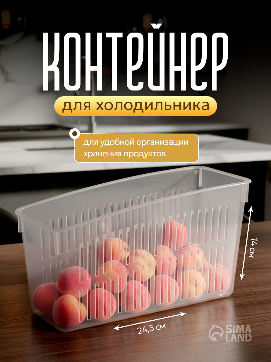 Контейнер для холодильника, 24.5×9.5×14 см, пластик, прозрачный