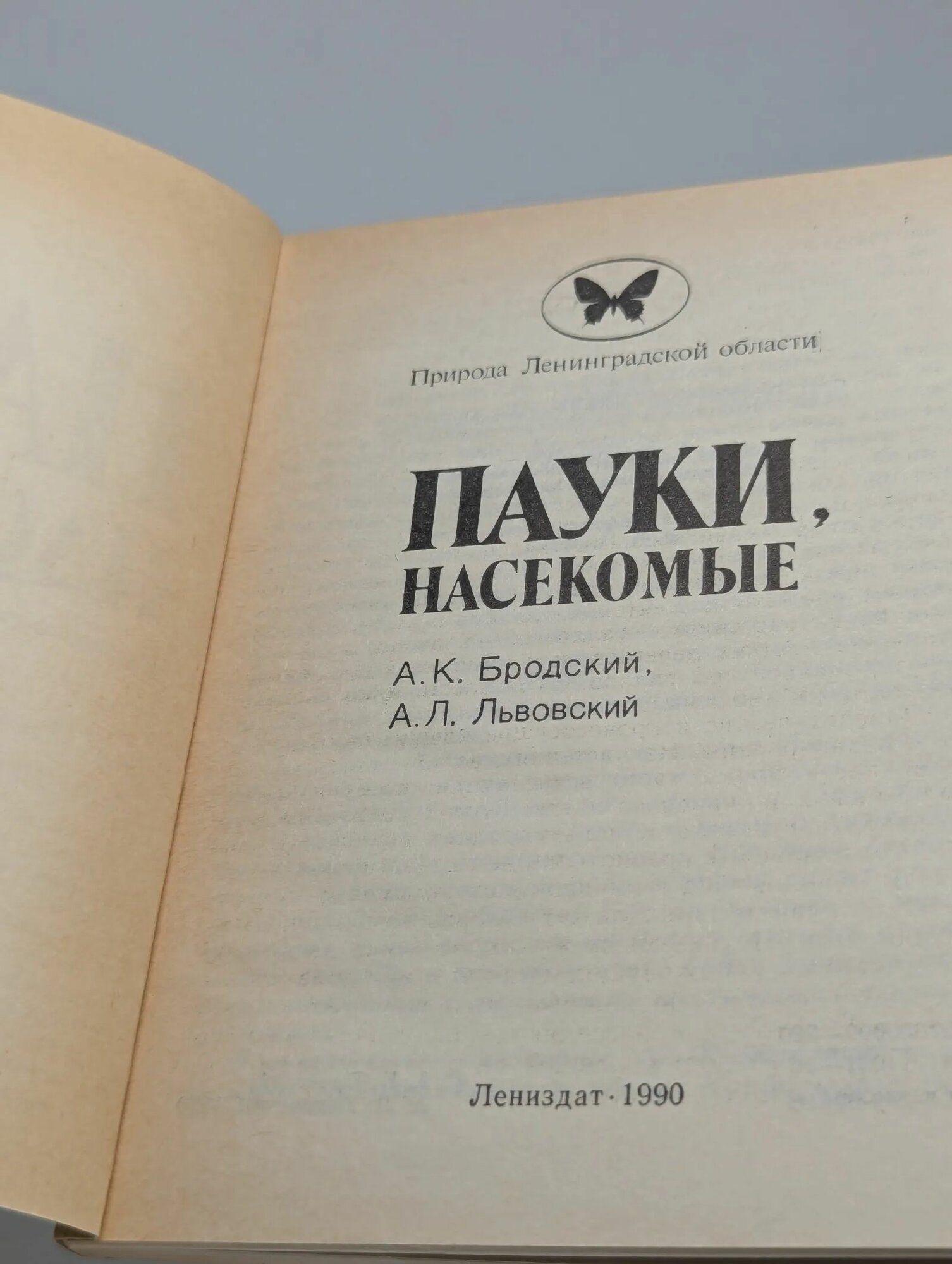 Пауки, насекомые — фото 1