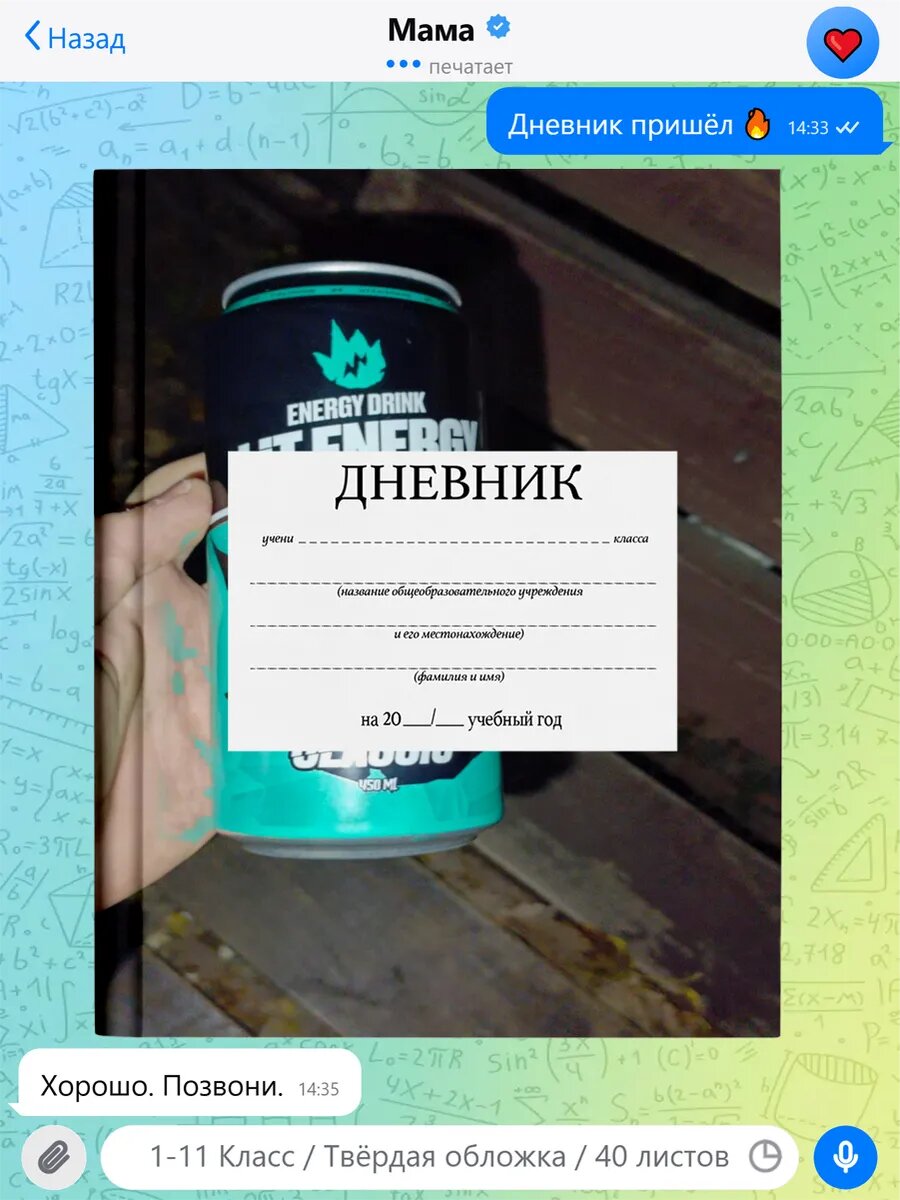 Школьный дневник с принтом Роблокс