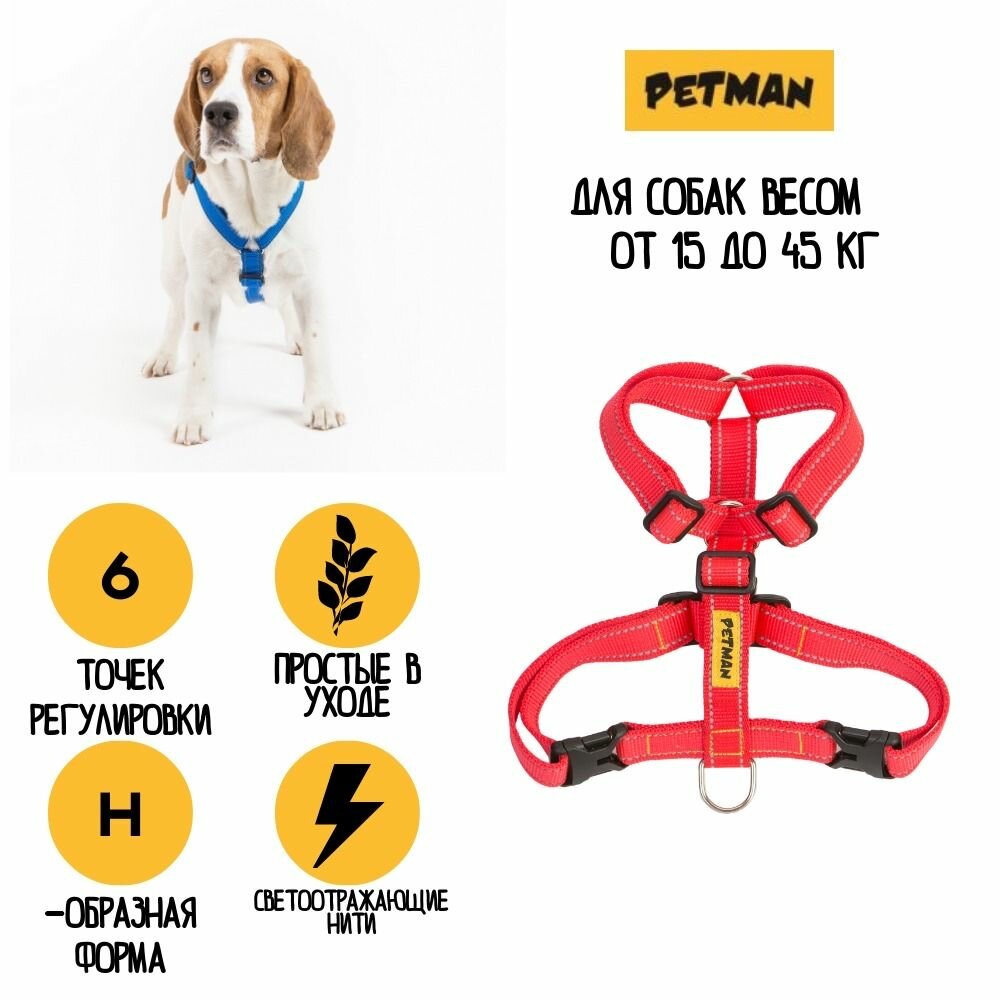 Регулируемая светоотражающая шлейка для собак до 40 кг 25 мм