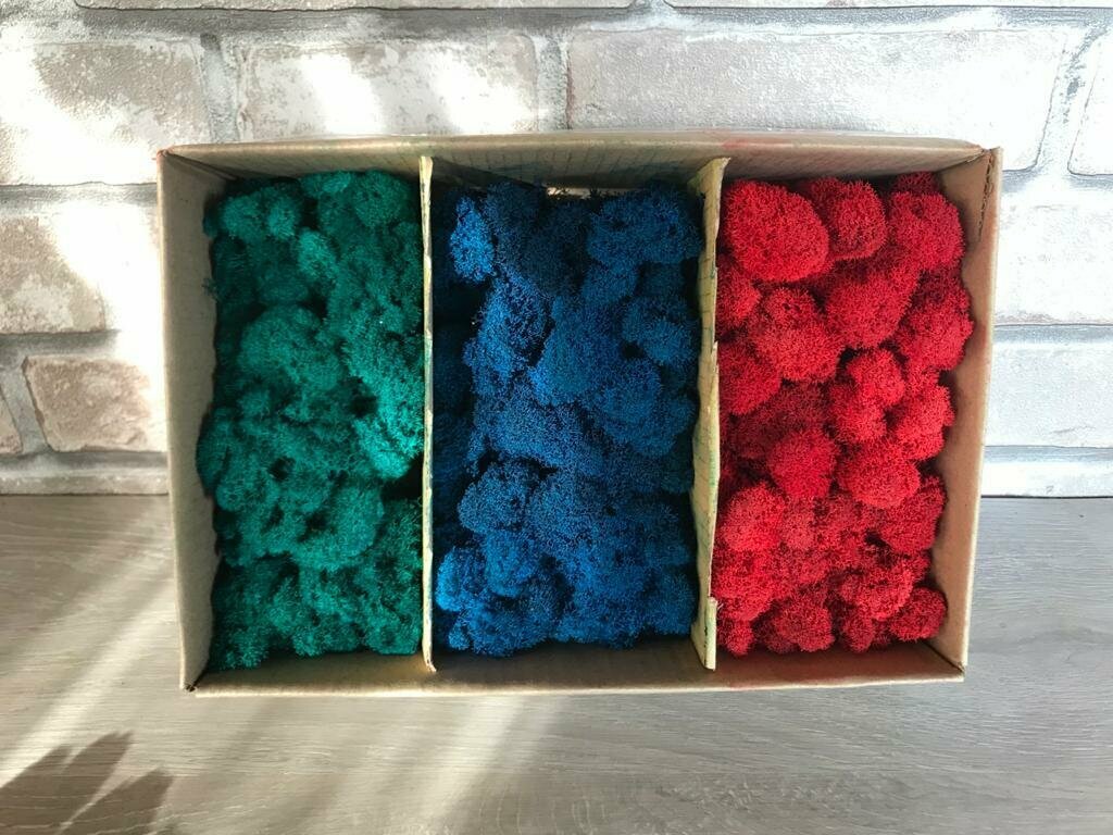 Стабилизированный мох 3 цвета (набор №3: бирюзовый, синий, красный)