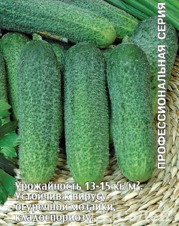 Коллекционные семена огурца Аллегри F1