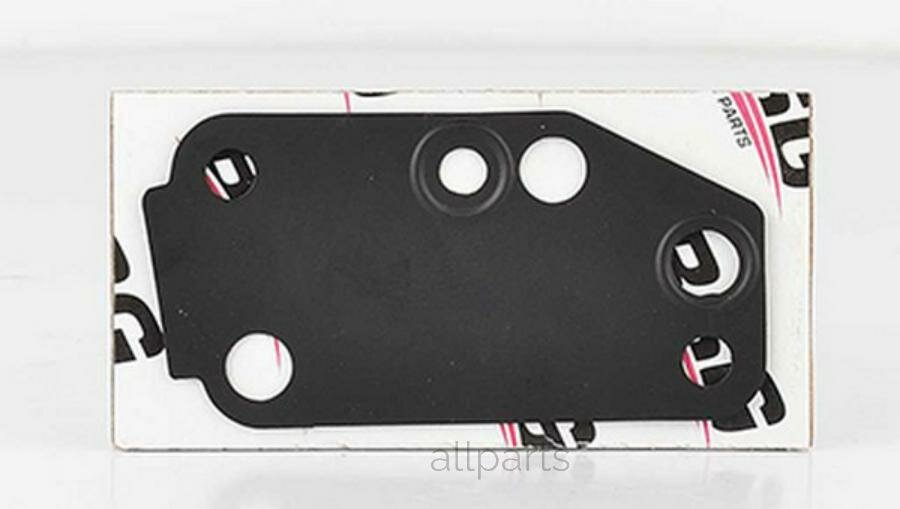 BSG AUTO PARTS BSG 30-116-020 Прокладка водян. помпы (насоса) TRANSIT V184 01- BSG BSG 30-116-020