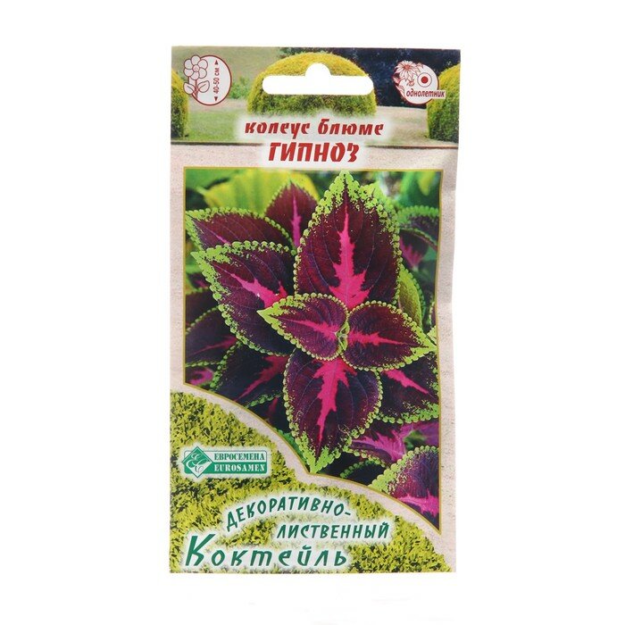 Семена Колеус блюме "Гипноз", 3 шт