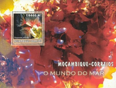 Почтовые марки Мозамбик 2002г. "Морская жизнь - Филогранелла элатенская" Морские животные MNH
