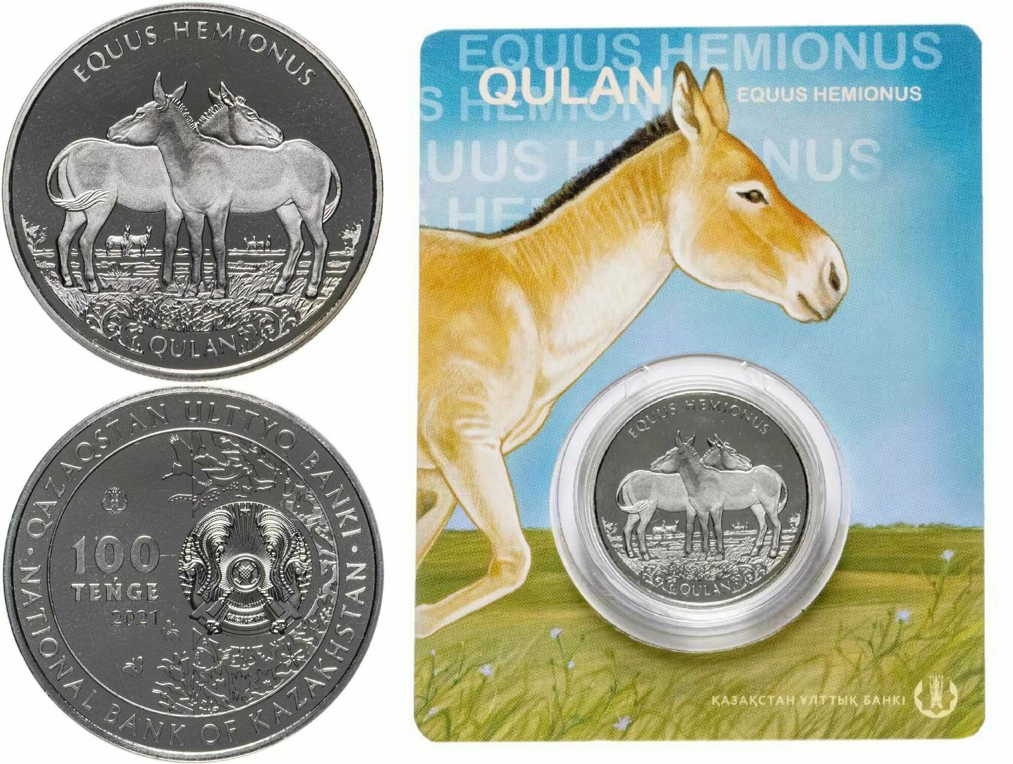 Казахстан 100 тенге, 2021 Кулан Блистер BUNC