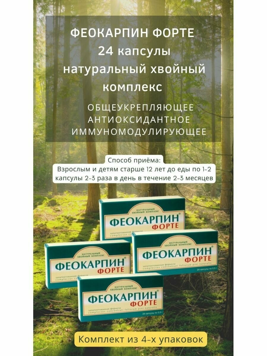 Феокарпин Форте 24 капсулы поливитамины хвойный комплекс