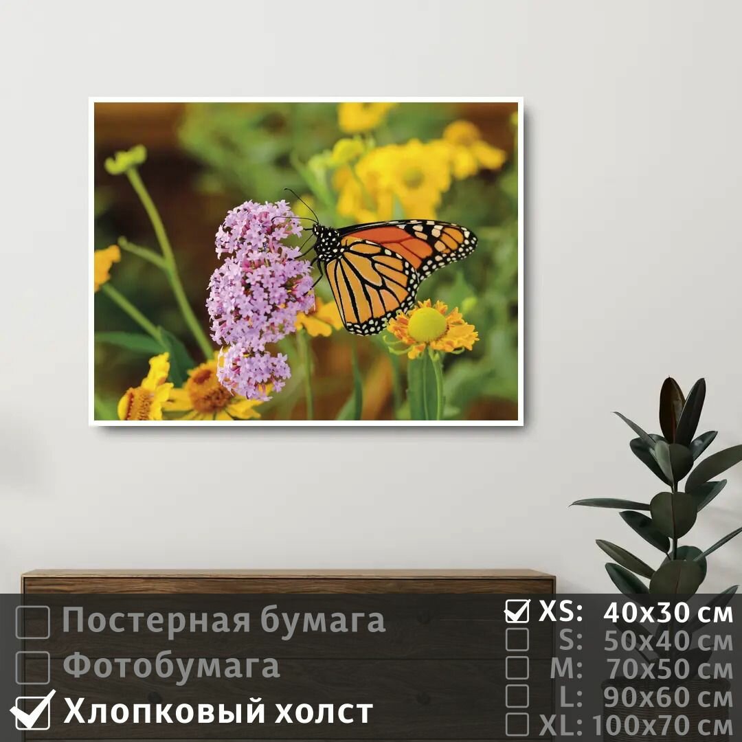 Постер на холсте Бабочка На Полевых Сиреневых Цветах 40х30 см ПолиЦентр
