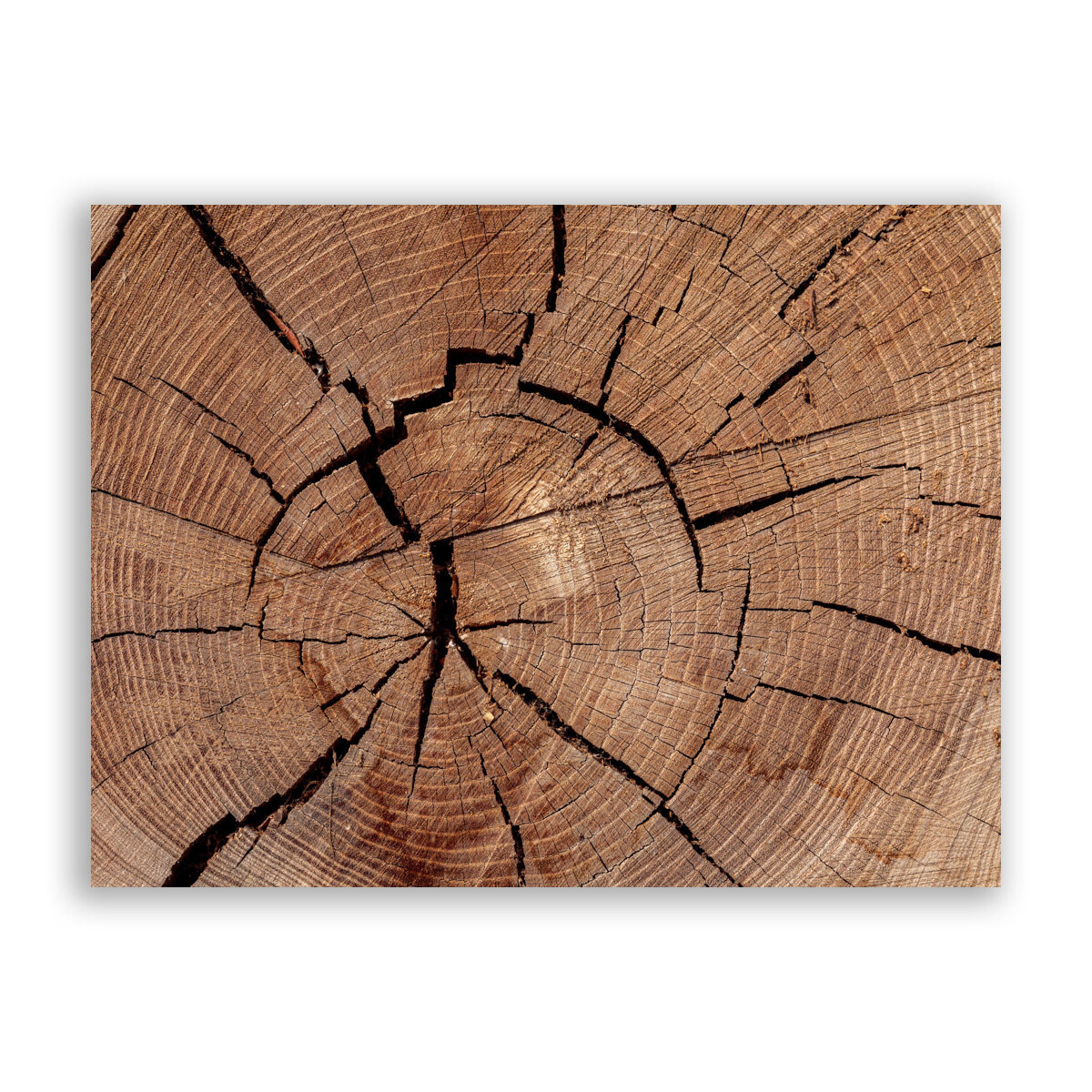 Постер, плакат на бумаге / Древесина / Размер 80 x 106 см