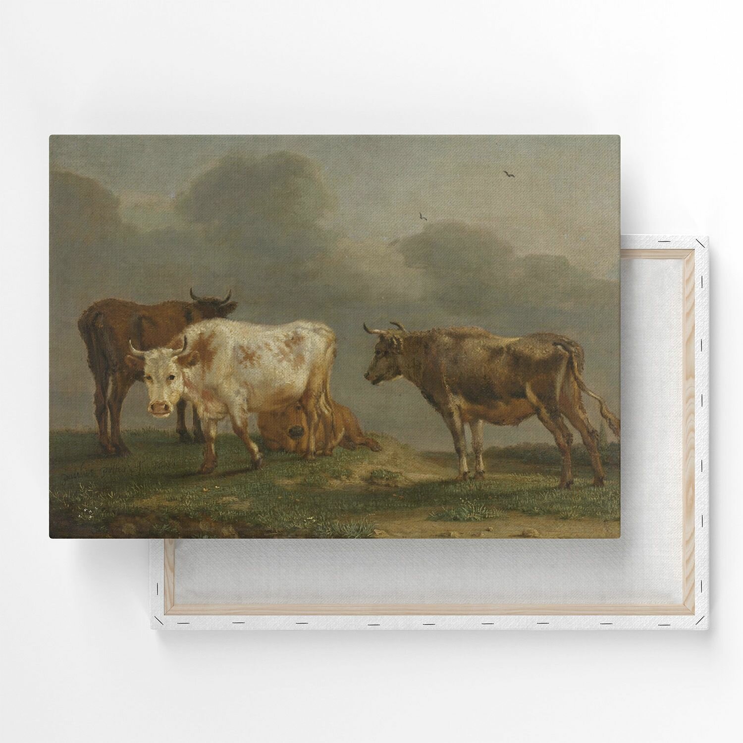 Картина на холсте, репродукция / Паулюс Поттер - Vier jonge stieren in de wei / Размер 40 x 53 см