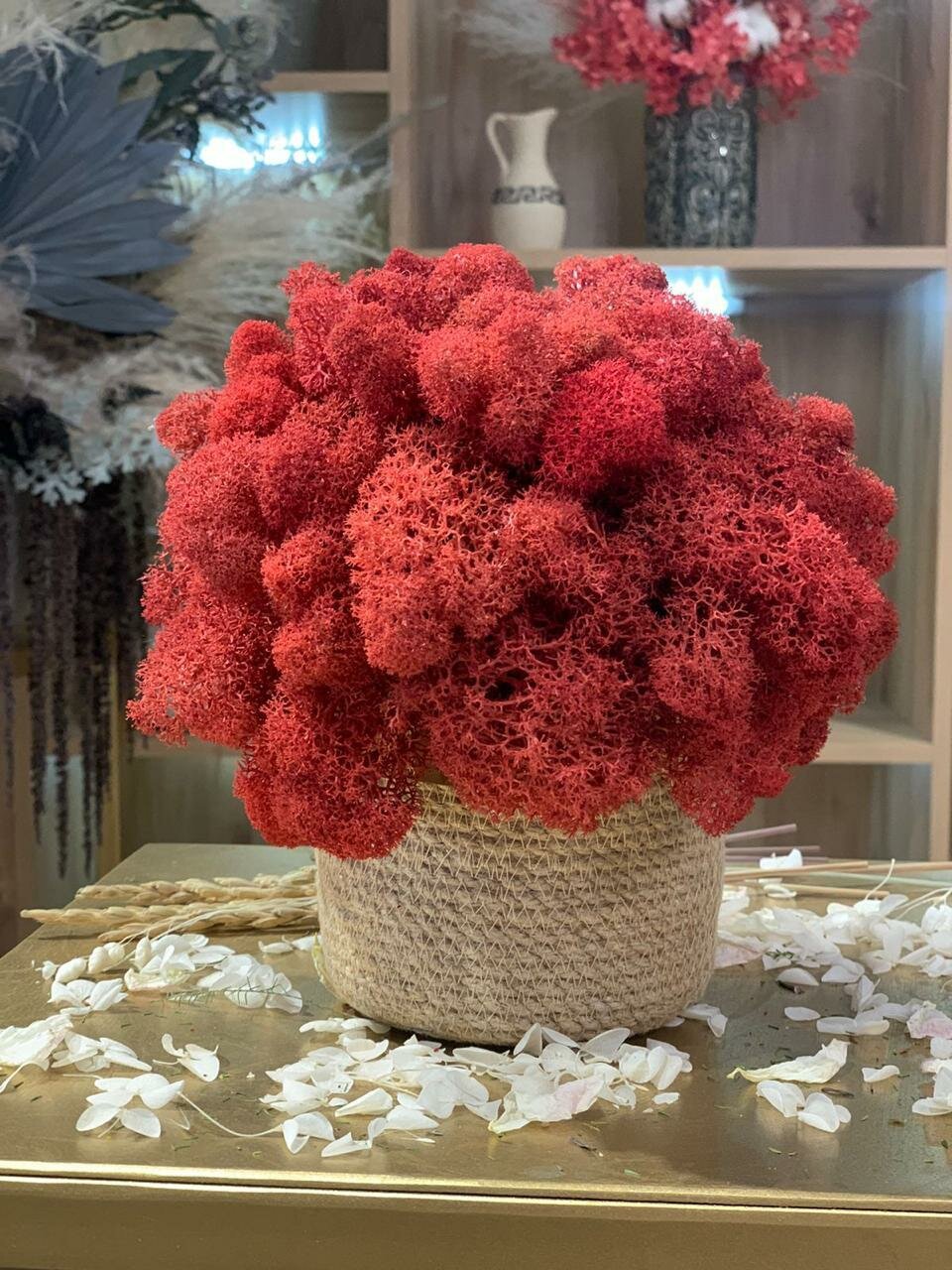 Композиция, кашпо из стабилизированного мха, мох красный, 20 см, подарок на день рождения, подарок девушке, подарок маме, подарок подруге, подарок женщине, подарок жене, подарок коллеге