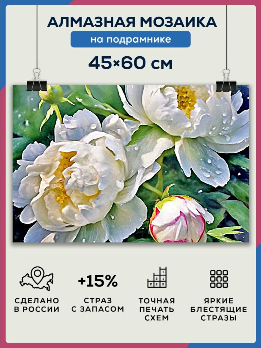Алмазная мозаика 45x60 Белые пионы на подрамнике