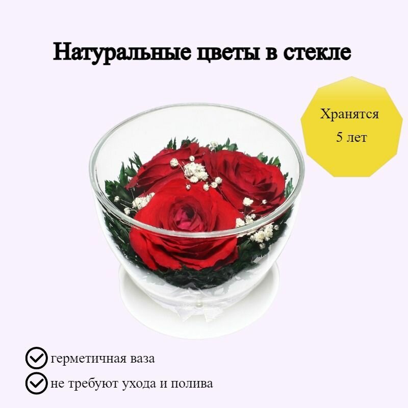 Композиция из натуральных цветов в стекле NFP, 7х8 см