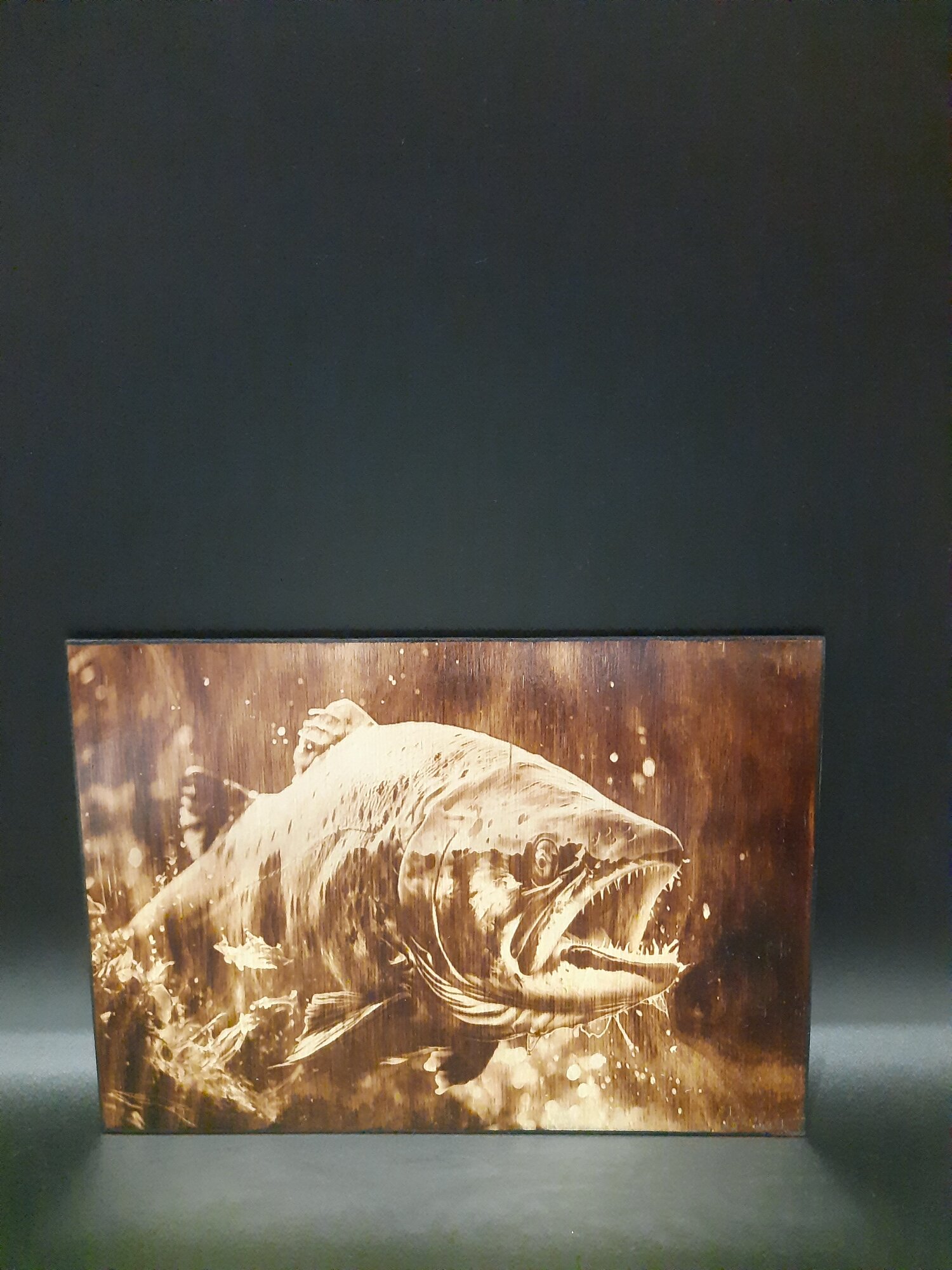Картина "Форель" выжженная картина на дереве в формате А4