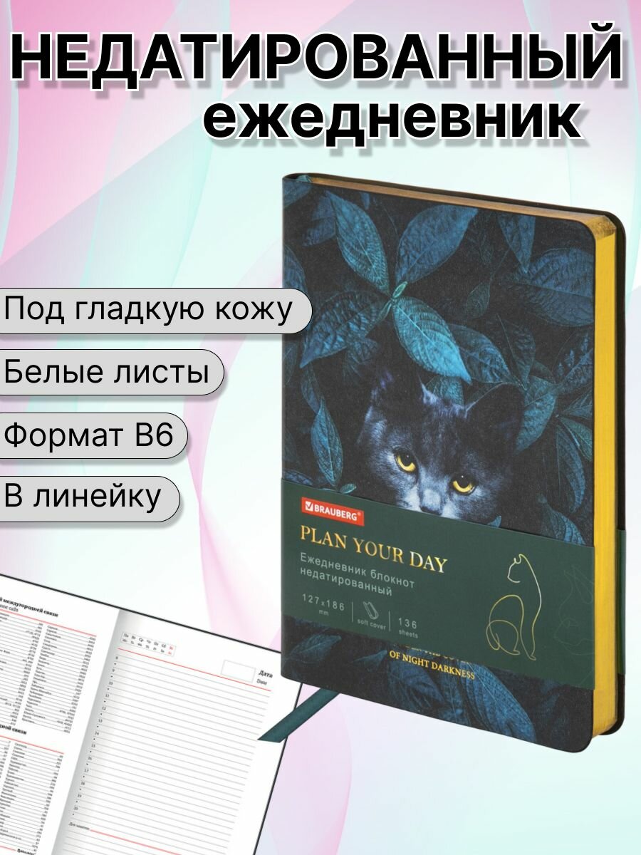 Планер ежедневник недатированный B6