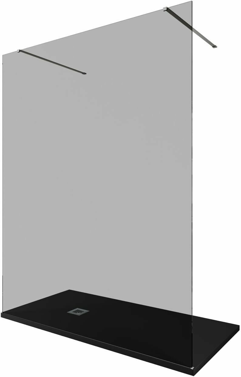 Душевая перегородка Allen Brau Infinity 2 160 3.21056. BA. T серебро браш