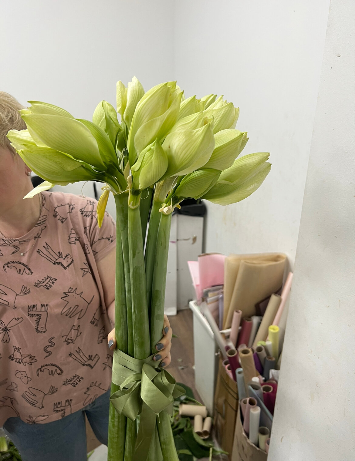 Семерка белых амариллисов