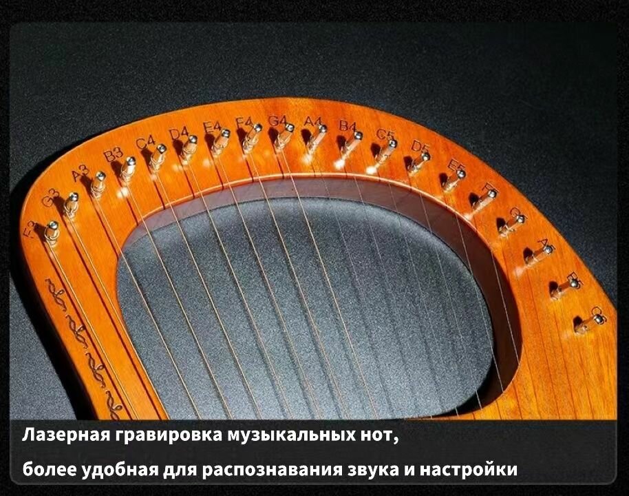 Струнный инструмент — фото 1