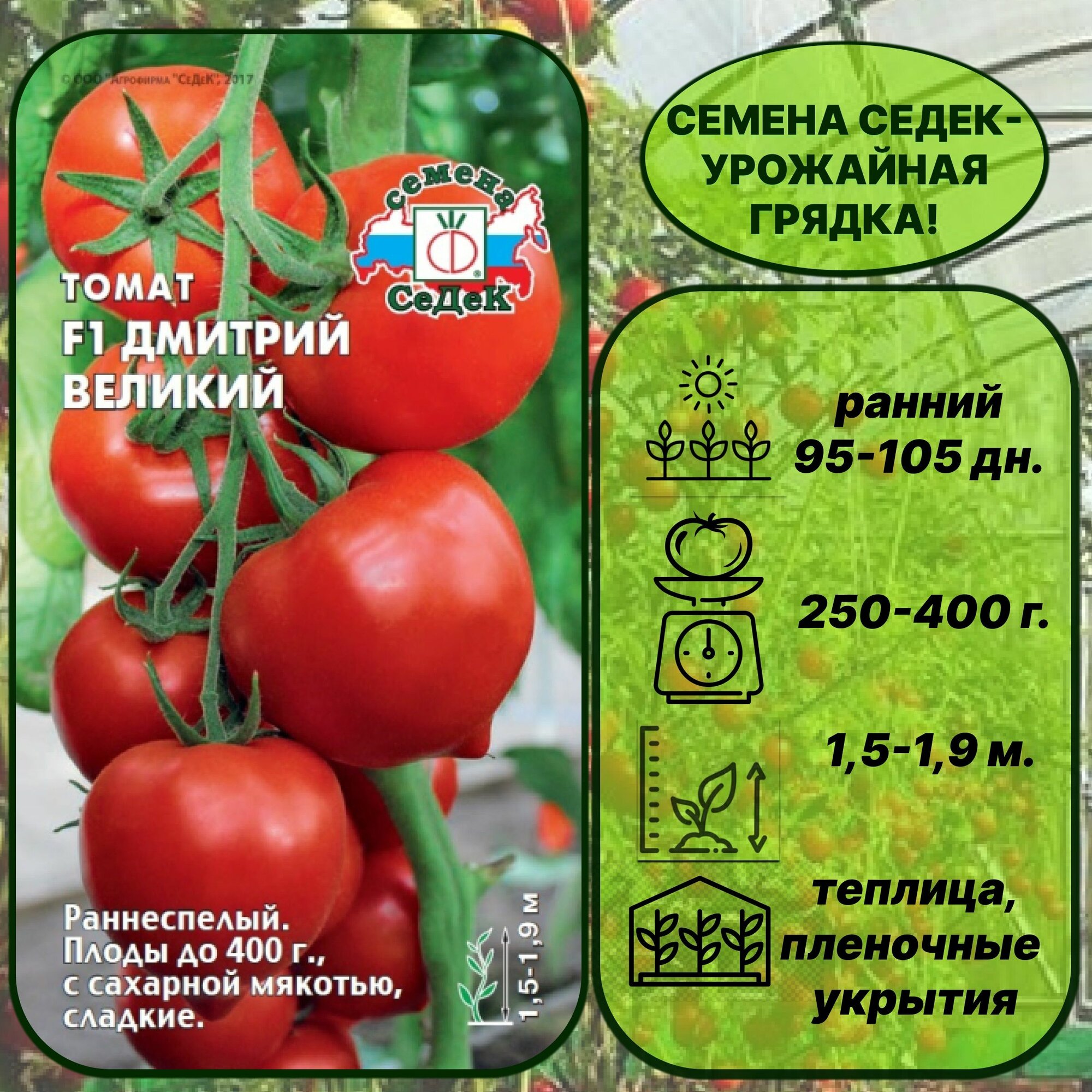 Семена Томат дмитрий великий Седек (1 упаковка)