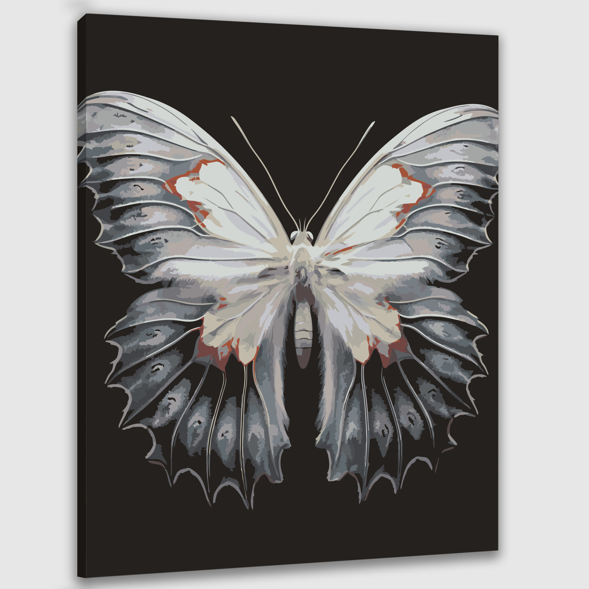 Картина по номерам 40x50 см, крылья, бабочка, нежная красота, сложные детали, яркий цвет, элегантность, темный фон