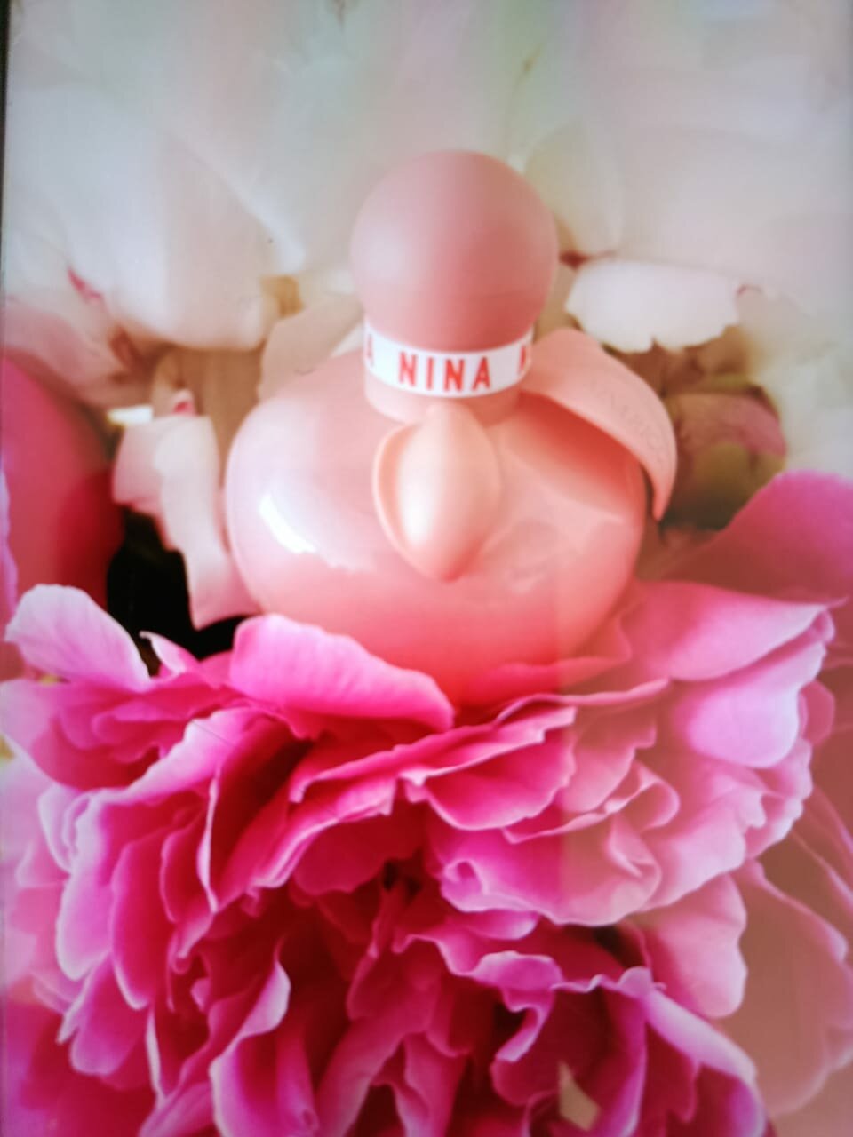 80 мл Nina Ricci Nina Rose Eau de Toilette 80 ml Туалетная вода женская Нина Риччи 80 мл