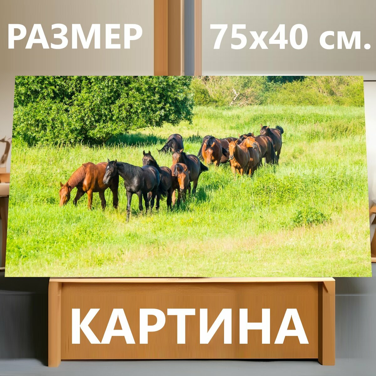 Картина на холсте "Лошади, табун лошадей, луг" на подрамнике 75х40 см. для интерьера