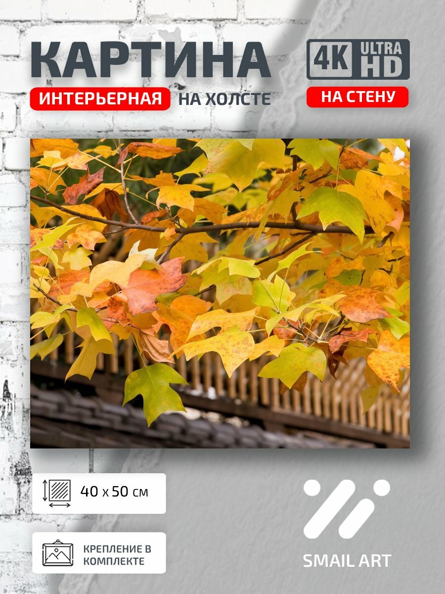 Картина на холсте интерьерная 40 на 50 на стену Дереве Mood для офиса атмосфера интерьер