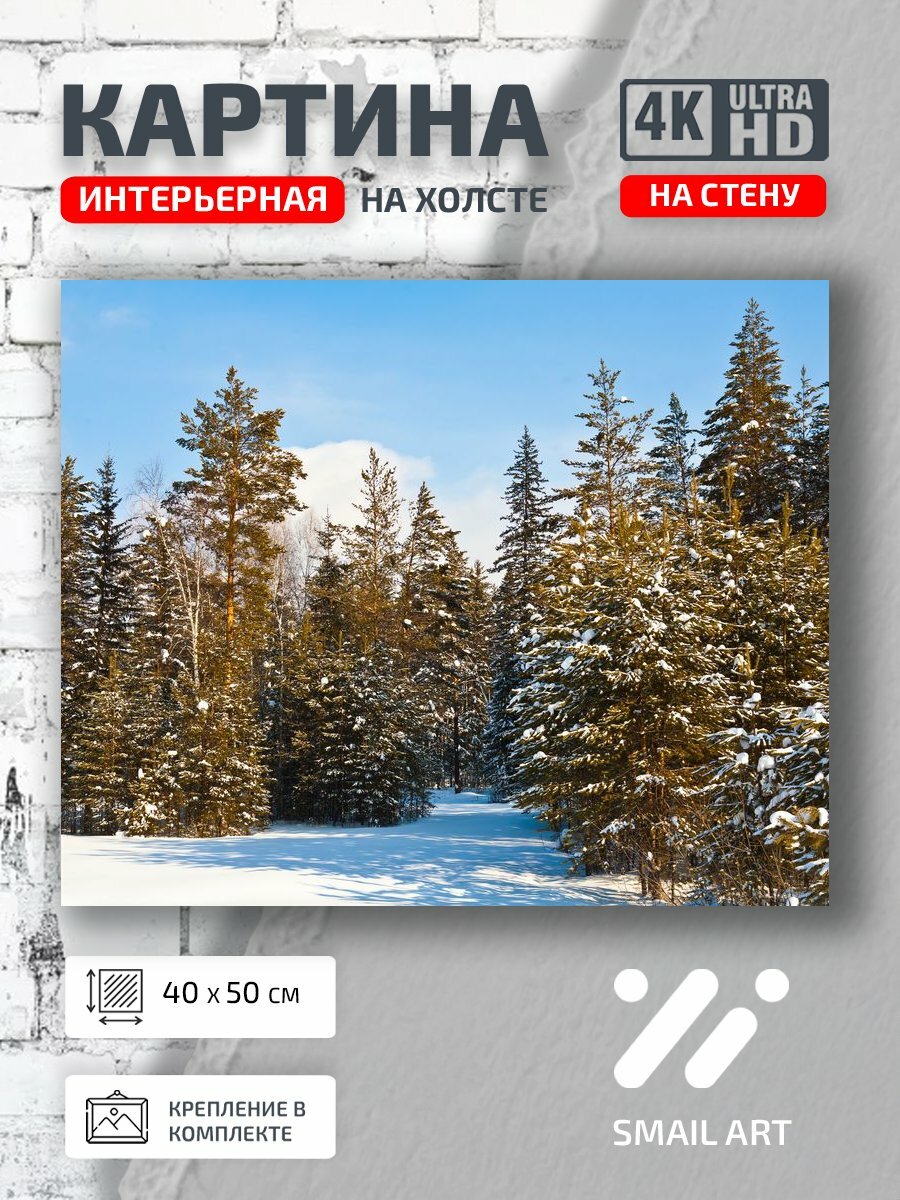 Картина на холсте интерьерная 40 на 50 на стену Зима Landscape для офиса пейзаж интерьер