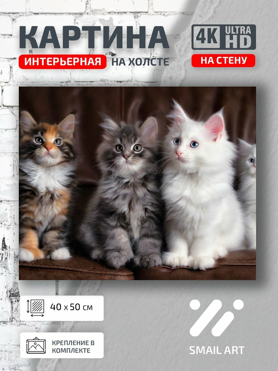 Картина на холсте интерьерная 40 на 50 на стену Серый Animal для гостиной animal style