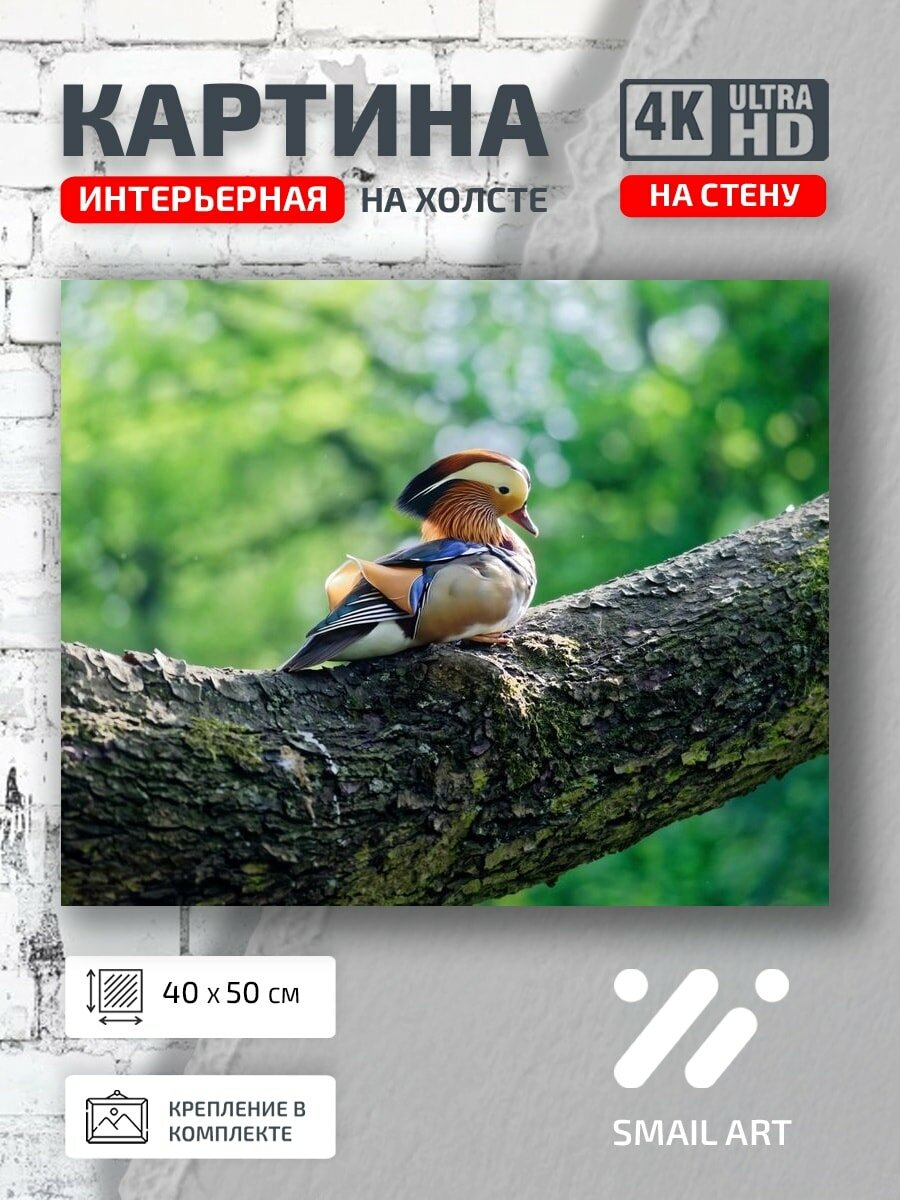 Картина на холсте интерьерная 40 на 50 на стену Птицы утка для спальни атмосфера