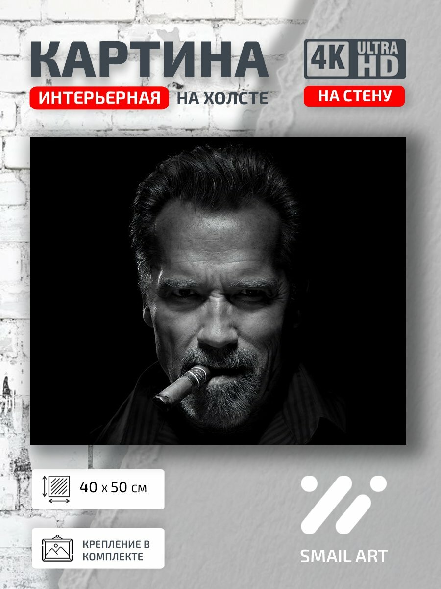 Картина на холсте интерьерная 40 на 50 на стену Взгляд Mood для офиса атмосфера интерьер