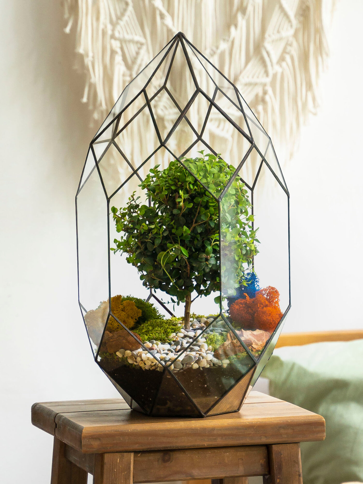 Geo Glass: Мирт дерево во флорариуме "Фаберже" , мирсина , флорариум стекло , подарок 45 см