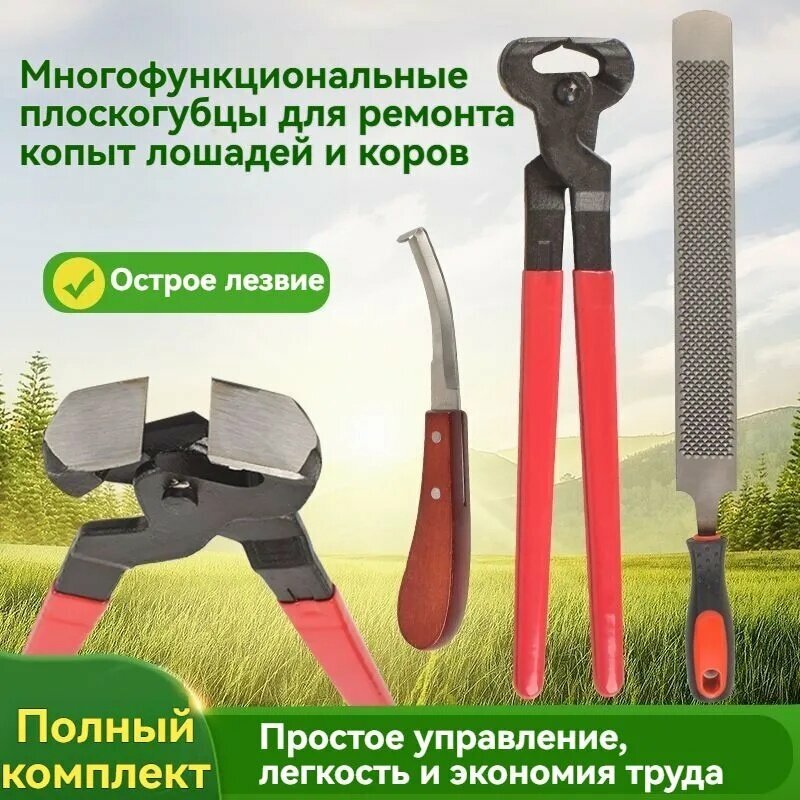 Набор для расчистки и ковки копыт лошади