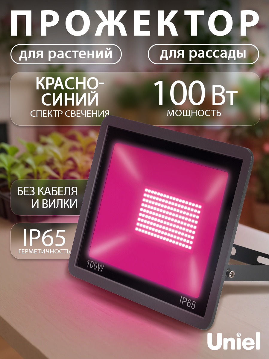 Прожектор светодиодный для растений 100 Вт. Фиолетовое свечение. Спектр для рассады и досвечивания в период роста, Uniel
